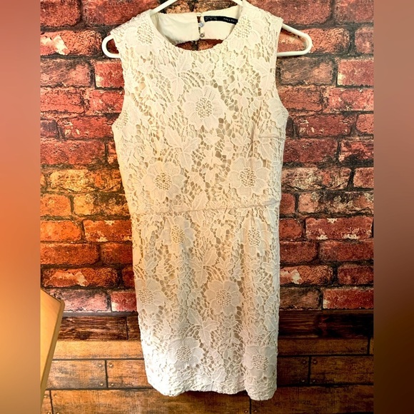 Zara | Dresses | Zara Basics Open Back Lace Overlay Dress Cream Size ...